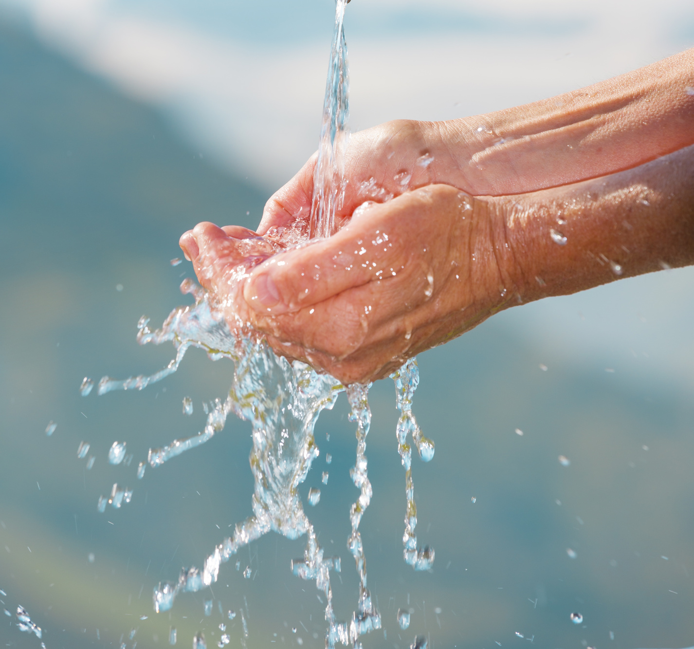 The Importance of Handwashing in Food Preparation | FHC Blog