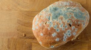 What can poor food hygiene cause? - Food Hygiene Company
